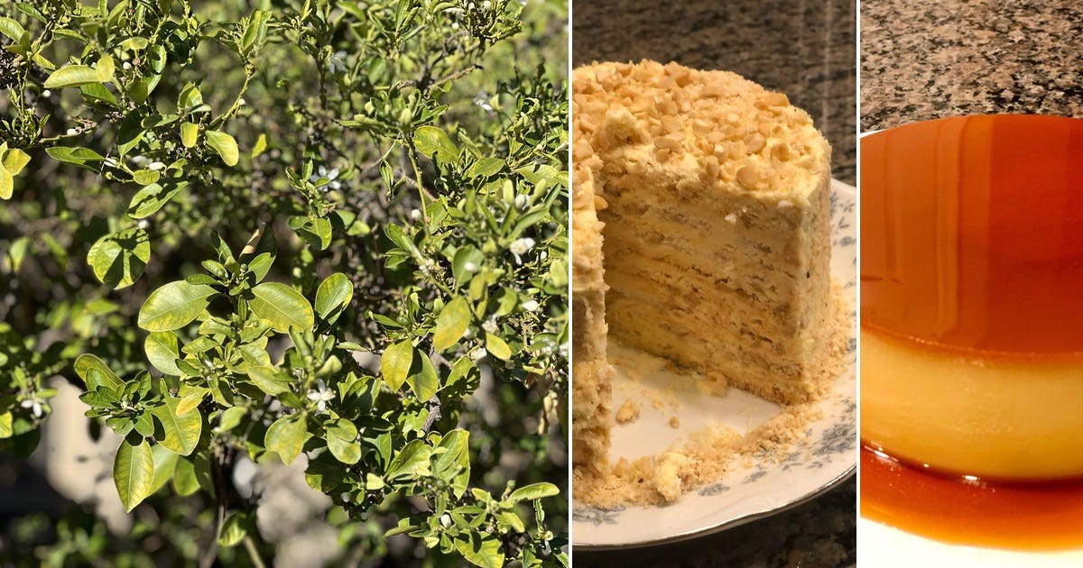 List: Eats Edi - Pinoy Foodie | Curated by Edi Parnala | Medium