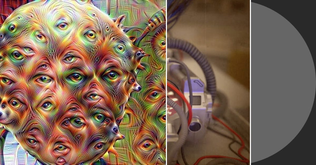 List: Simulation | Curated by Michelle Bartz | Medium