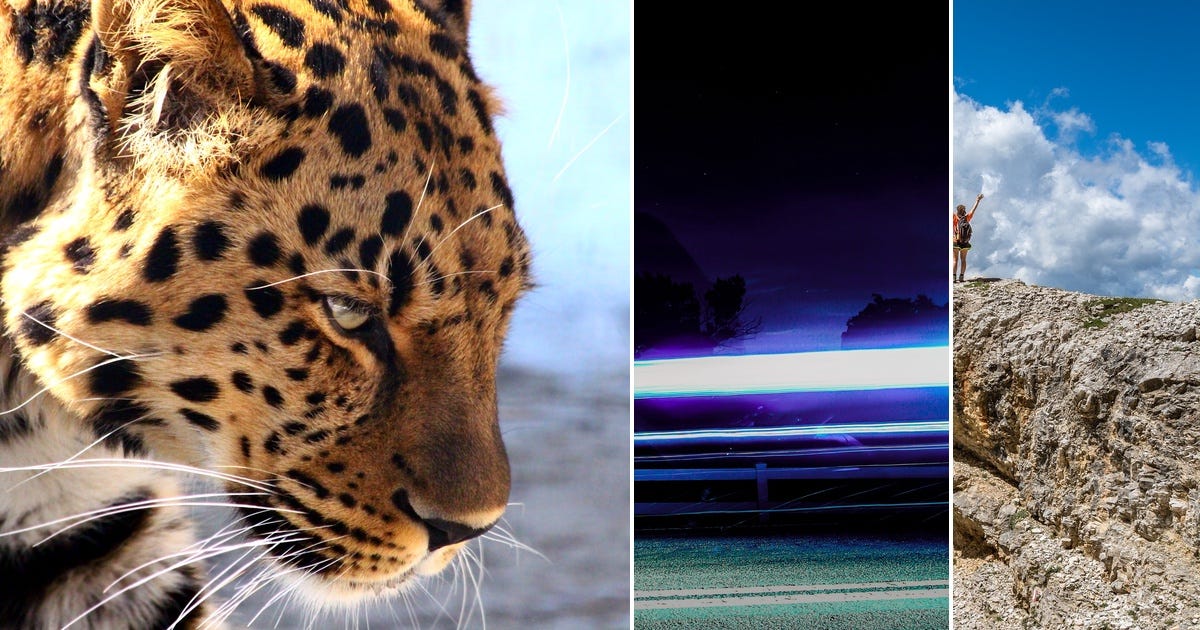 List: Python packages | Curated by Deepak Mehta | Medium