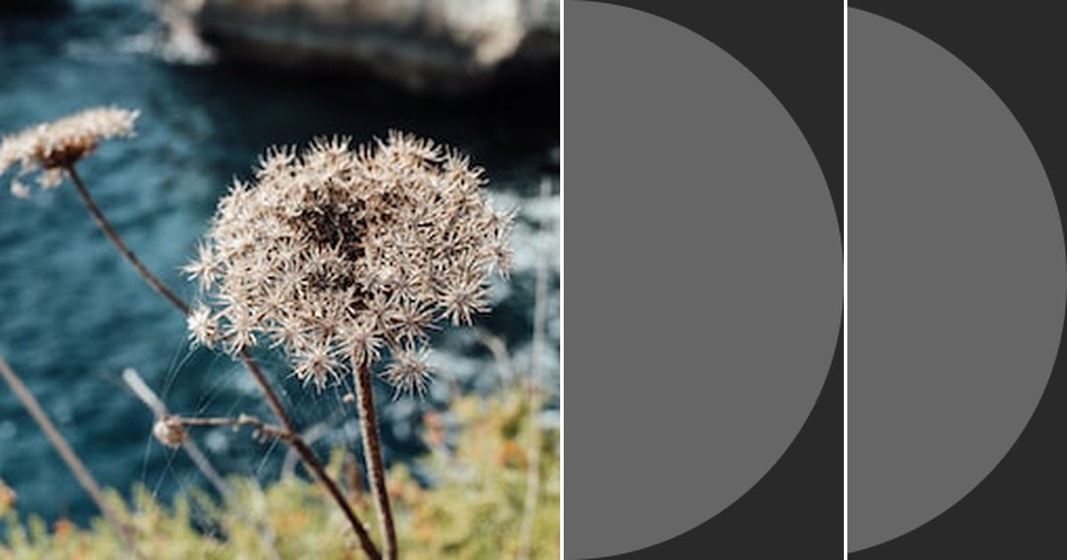 List: Poetry | Curated by Paramita Sen | Medium