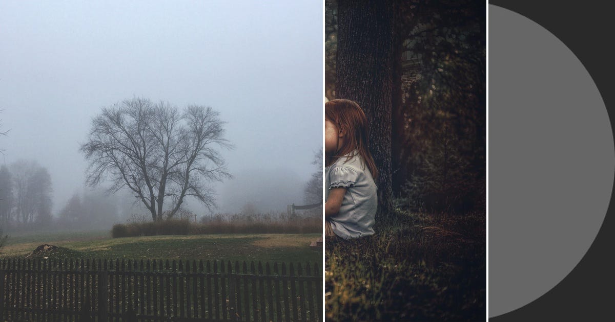 List: Favourites | Curated by Alex Tiu | Medium