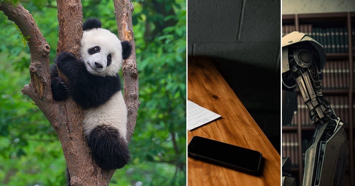 List: Python | Curated by Arie Neu | Medium