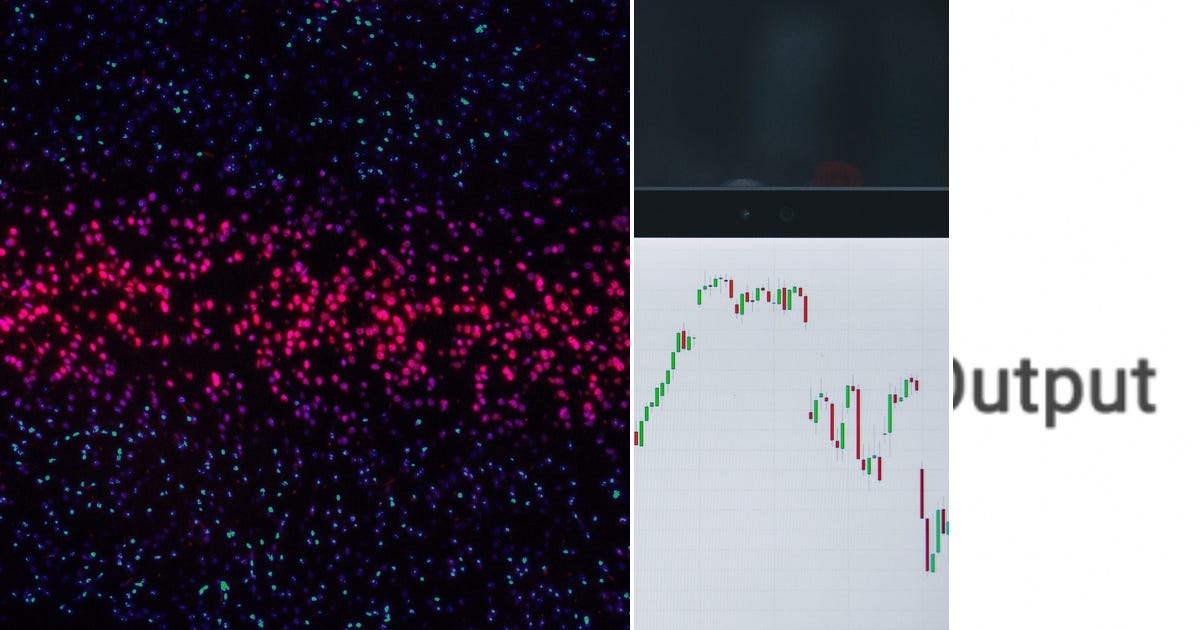 List: optimization | Curated by Nanakochong | Medium