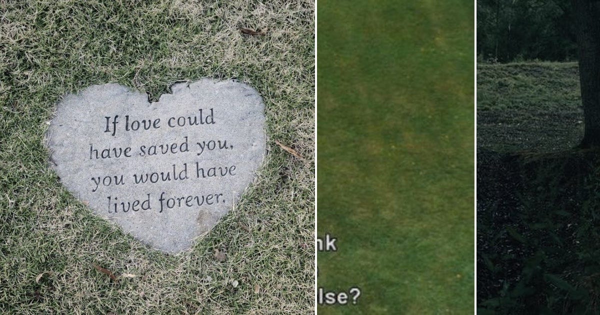 List: sha | Curated by sha | Medium