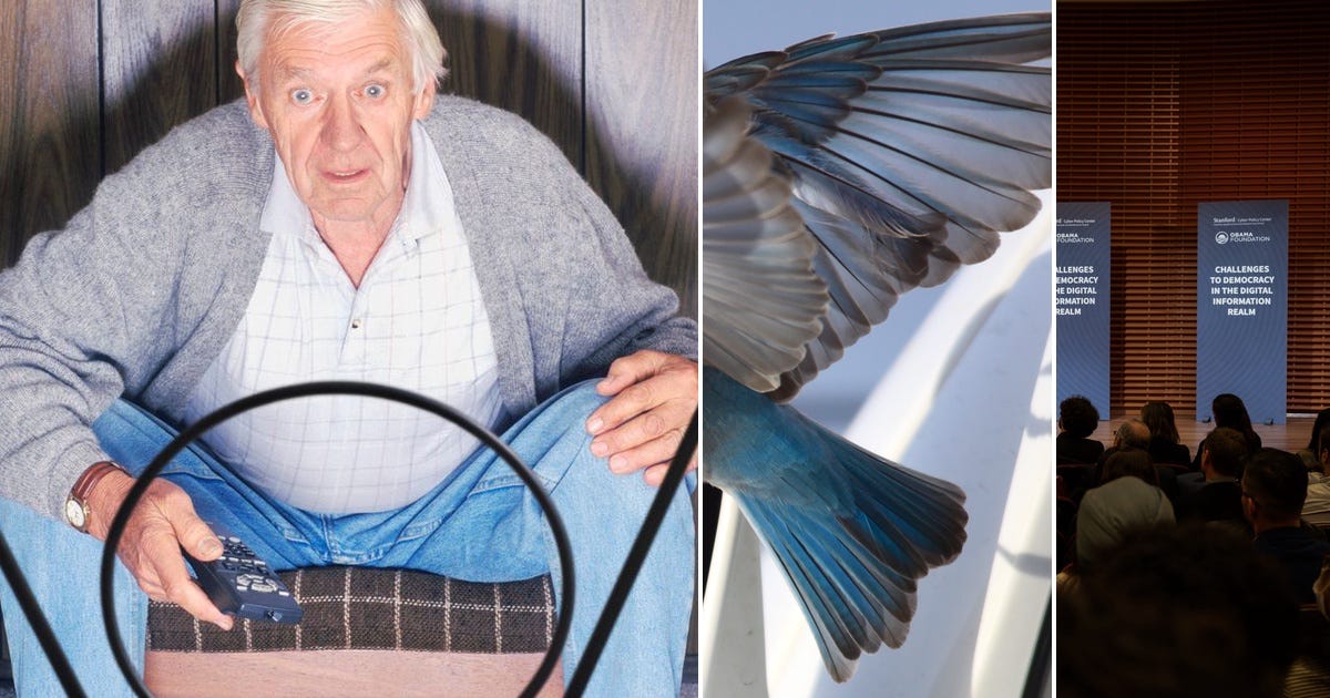 List: Social Media | Curated by Yara Kyrychenko | Medium