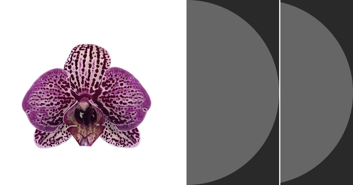 List: Reflections | Curated by Sofia Arenas | Medium