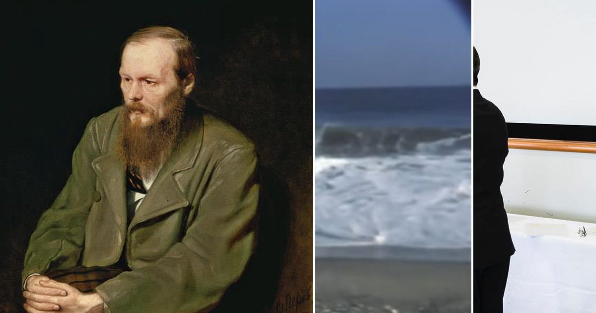 List: Reading list | Curated by sza🪼 | Medium