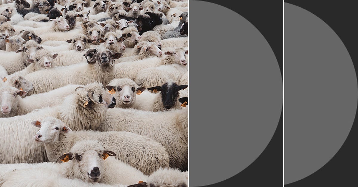 List: Inspiration | Branding | Design | Curated by Diogo Lisboa | Medium