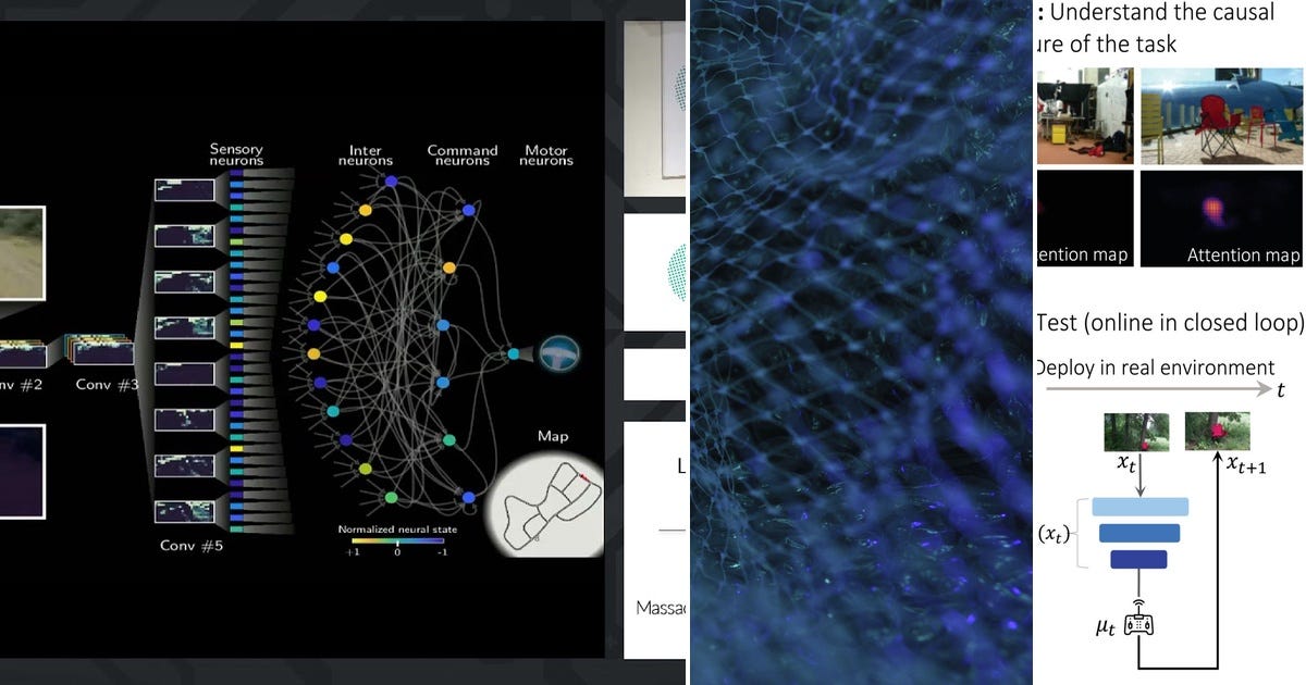 List: Liquid Neural Networks | Curated by José Luís P. C. Neves | Medium