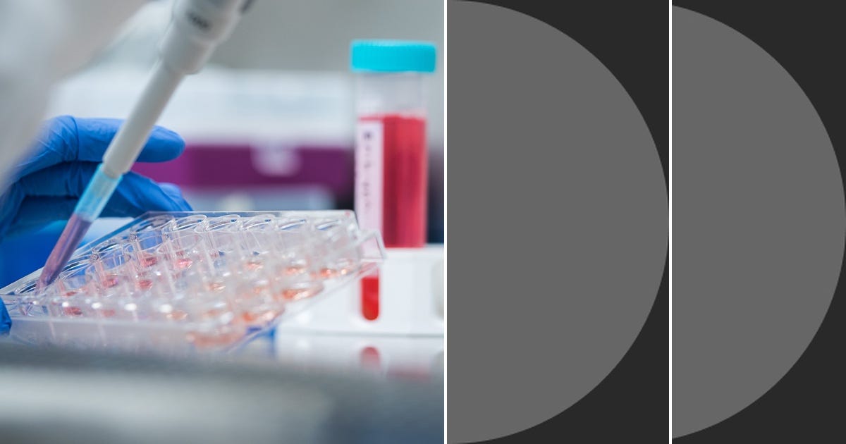 List: HW | Curated by Bernard Claing | Medium