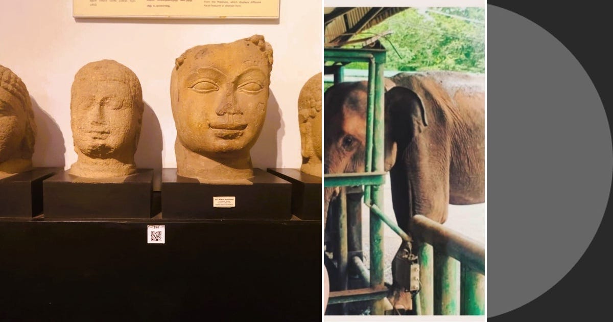 List: Tourist in my own Counry | Curated by Veronica Holsinger - veronicaholsing@gmail.com | Medium