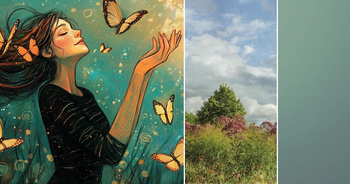 List: Cool reads | Curated by eva hart | Medium