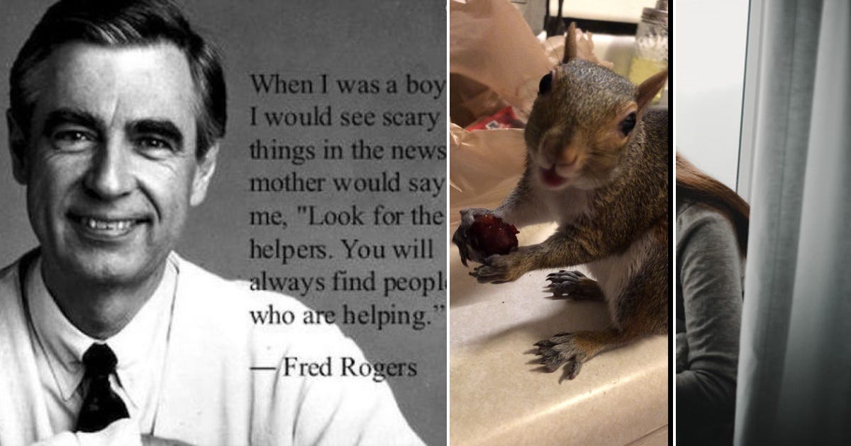 List: Karin Fuller Articles | Curated by James Rinehart | Medium