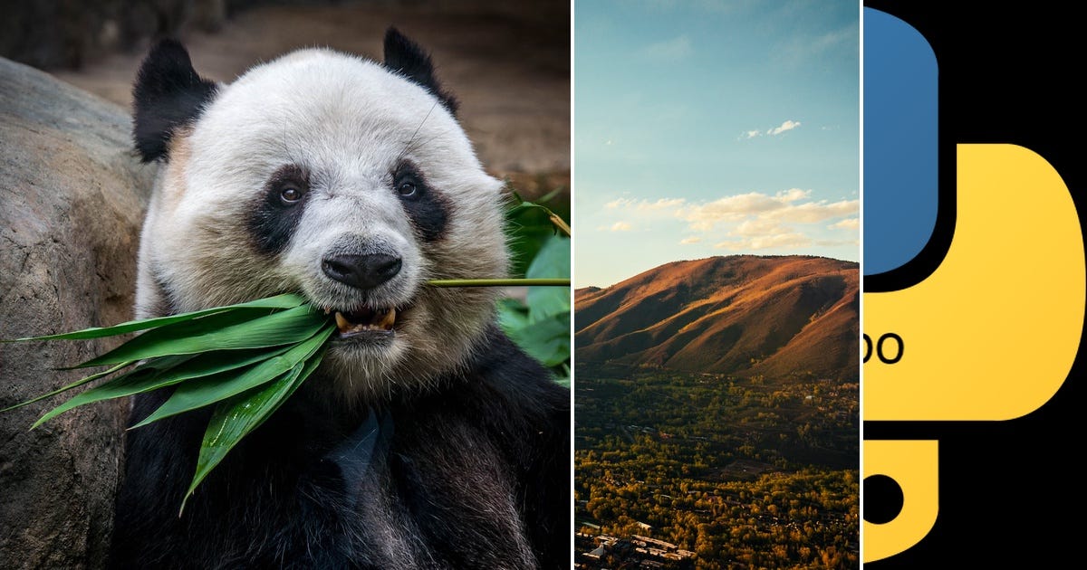 List: Python Basics | Curated by Adrsub | Medium