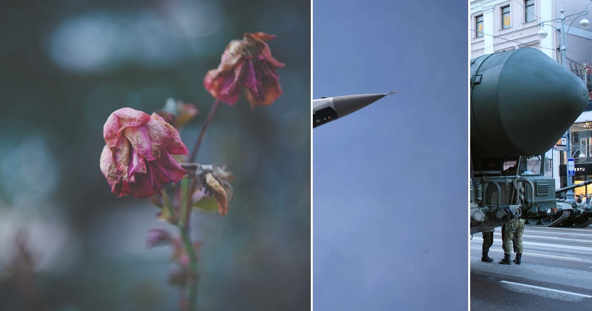 List: Random | Curated by Peter Lieberman | Medium