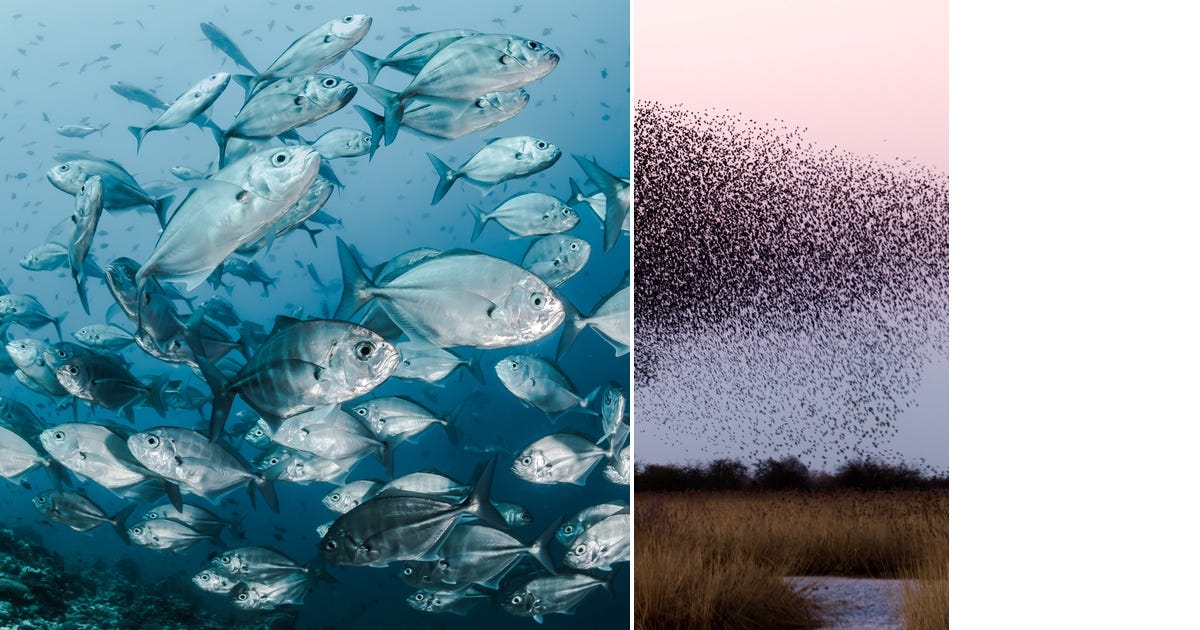 List: Computational Intelligence | Curated by Brandon Jaye Charles | Medium