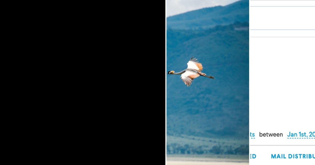 List: Vue | Curated by Raymond | Medium