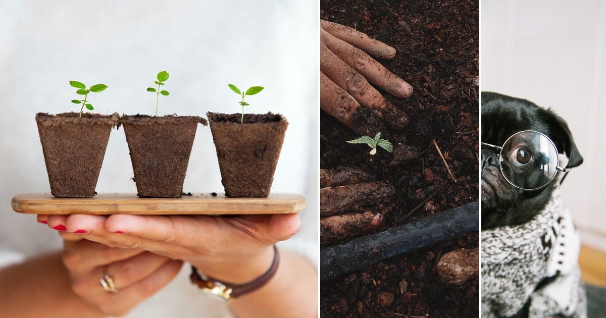 List: ESG and Sustainability | Curated by Dilan Jayasekara 🇦🇺 | Medium