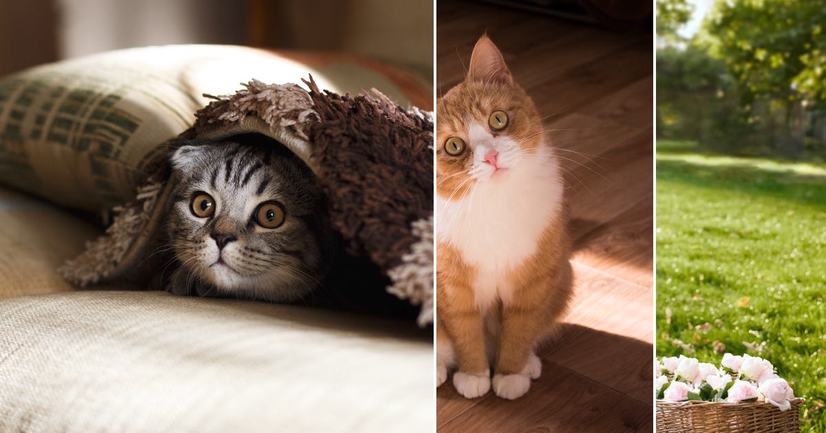 List: JS | Curated by Babs. | Medium