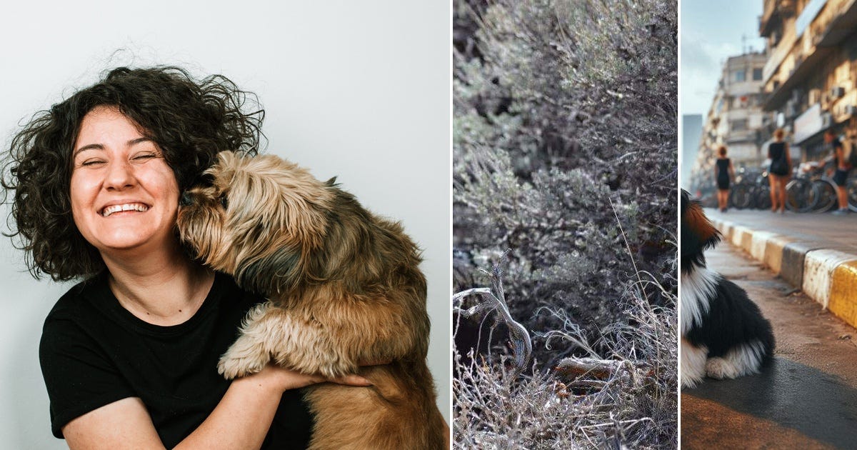 List: Reading list | Curated by Marion E. Brooks | Medium