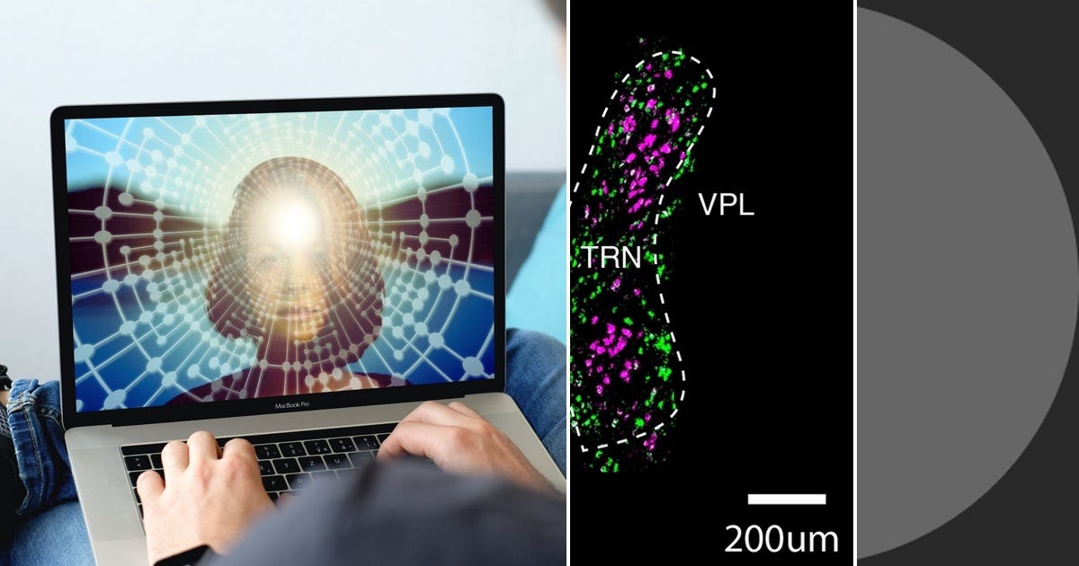 List: brain | Curated by shlevy i | Medium