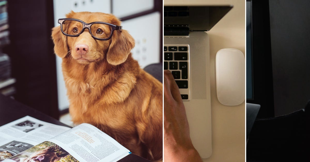 List: data analysis | Curated by Mohammad Aftab | Medium