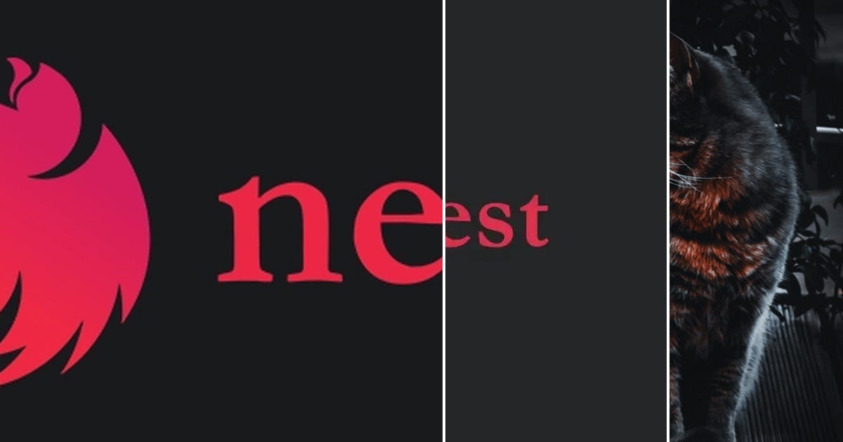 List: Nest | Curated by Alexis Valencia | Medium