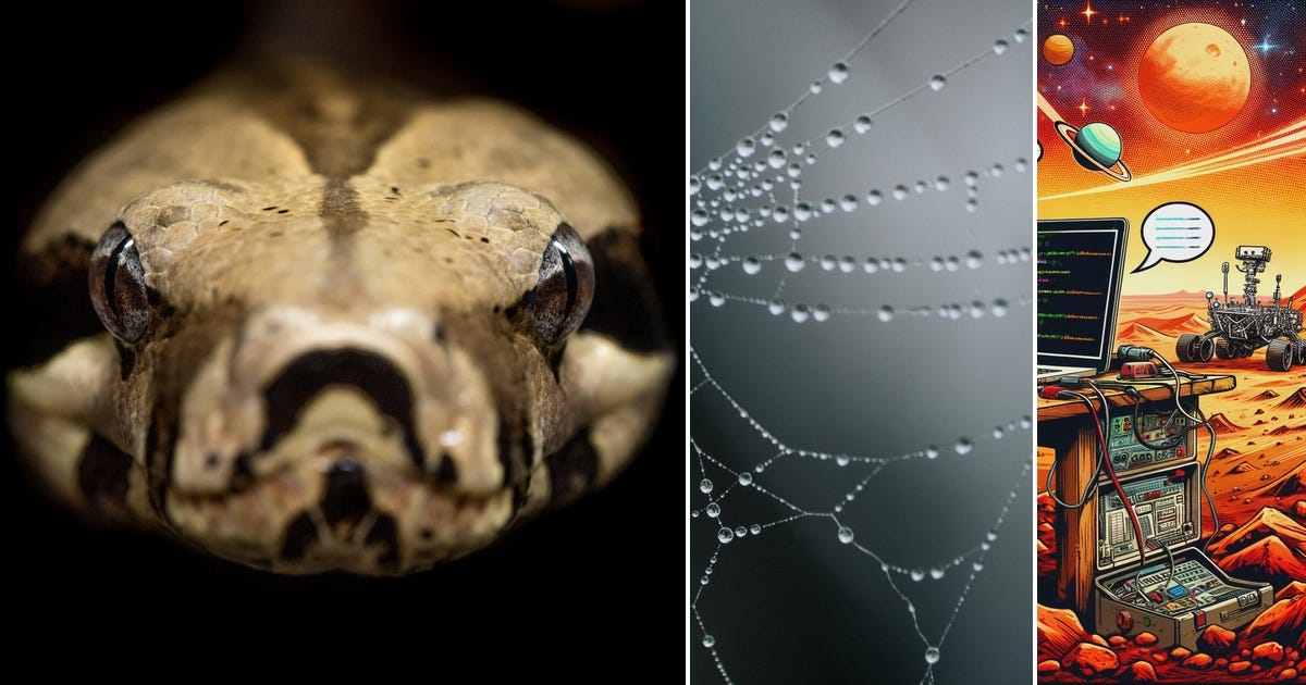 List: Python | Curated by Amit Bansal | Medium