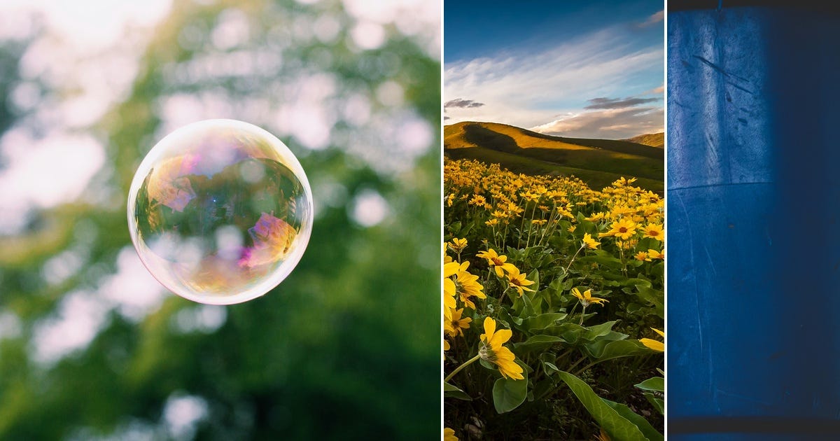 List: BEST STORIES EVER! OK, well maybe just this week | Curated by Bev ...