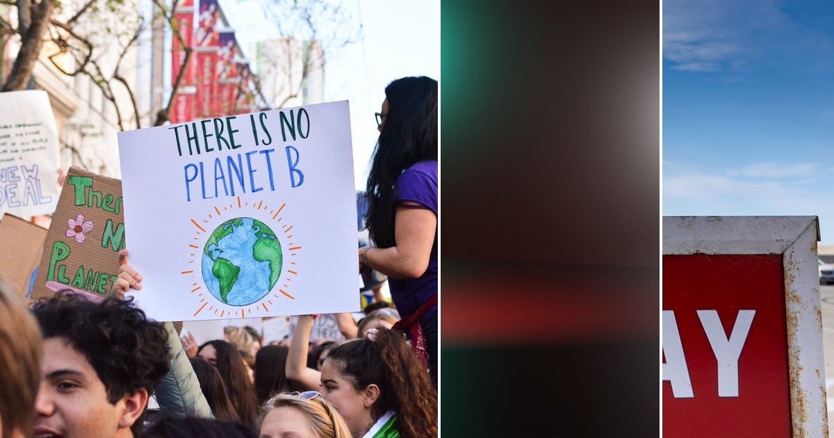 List: Environment | Curated by Joanne Connor | Medium