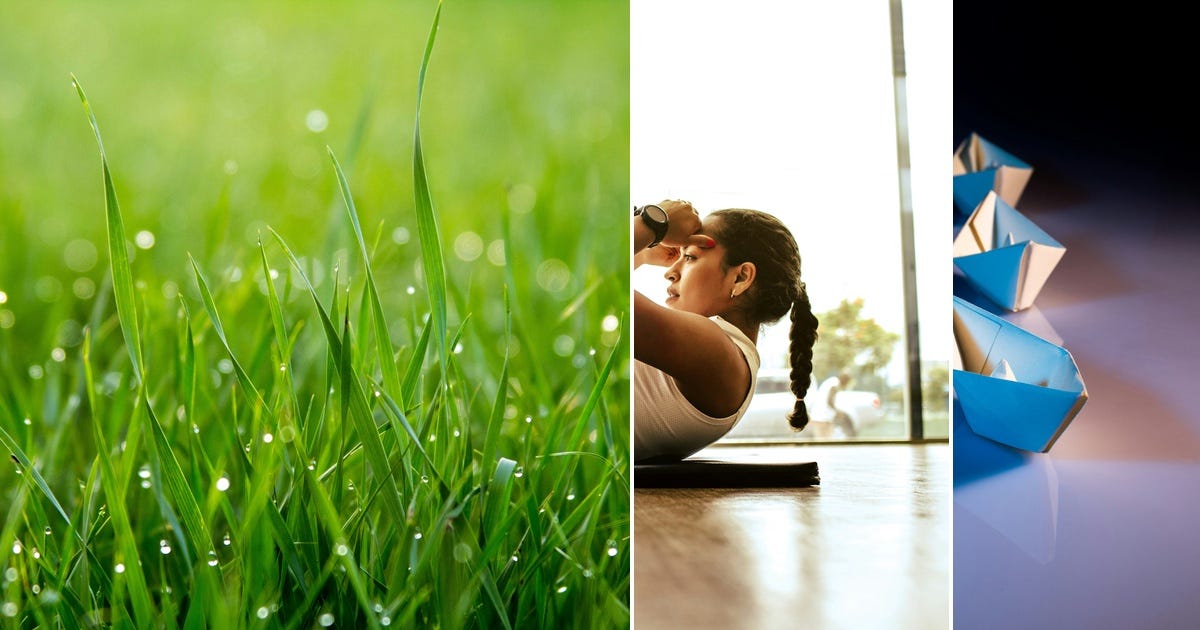 List: Reading list | Curated by Rhea Tyagi | Medium