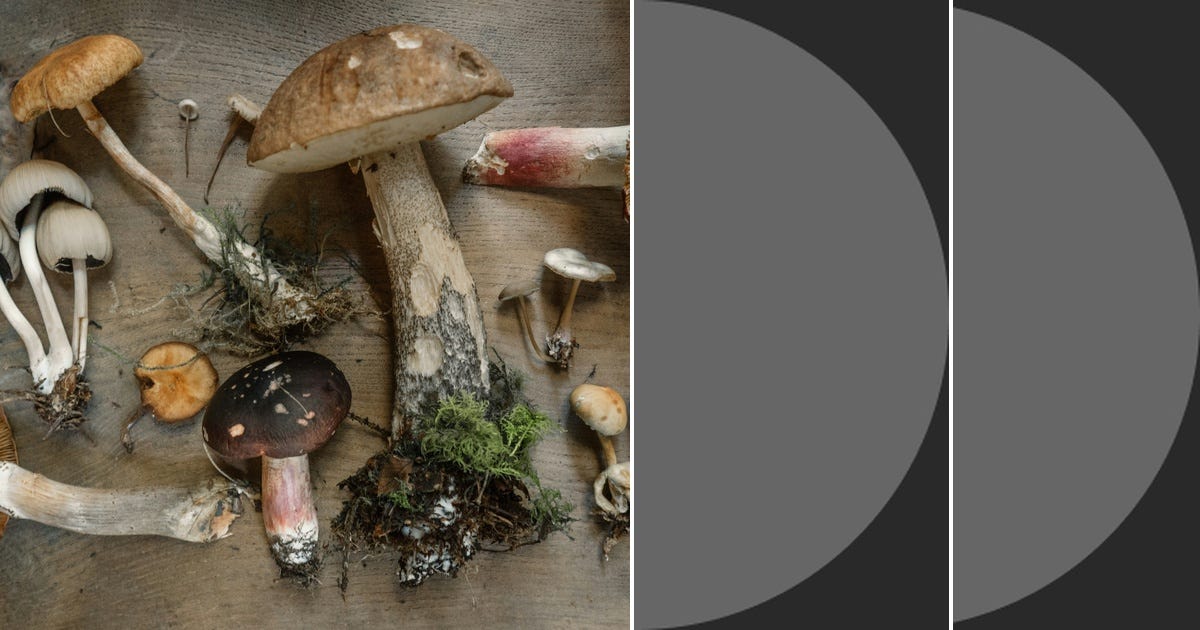 List: Reading list | Curated by Ani | Medium