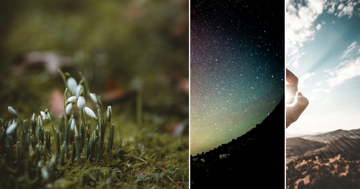 List: Poetry | Curated by The Chatterbox Chronicles | Medium