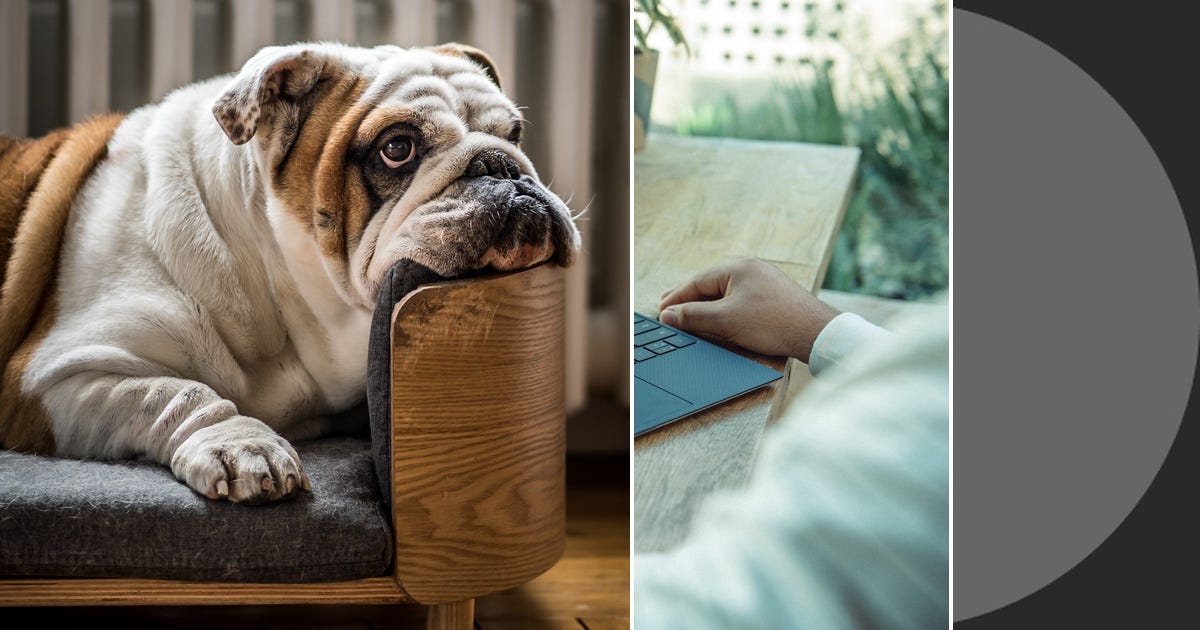 List: Webscraping | Curated by Jonatas Sampaio Carvalho De Carlos | Medium