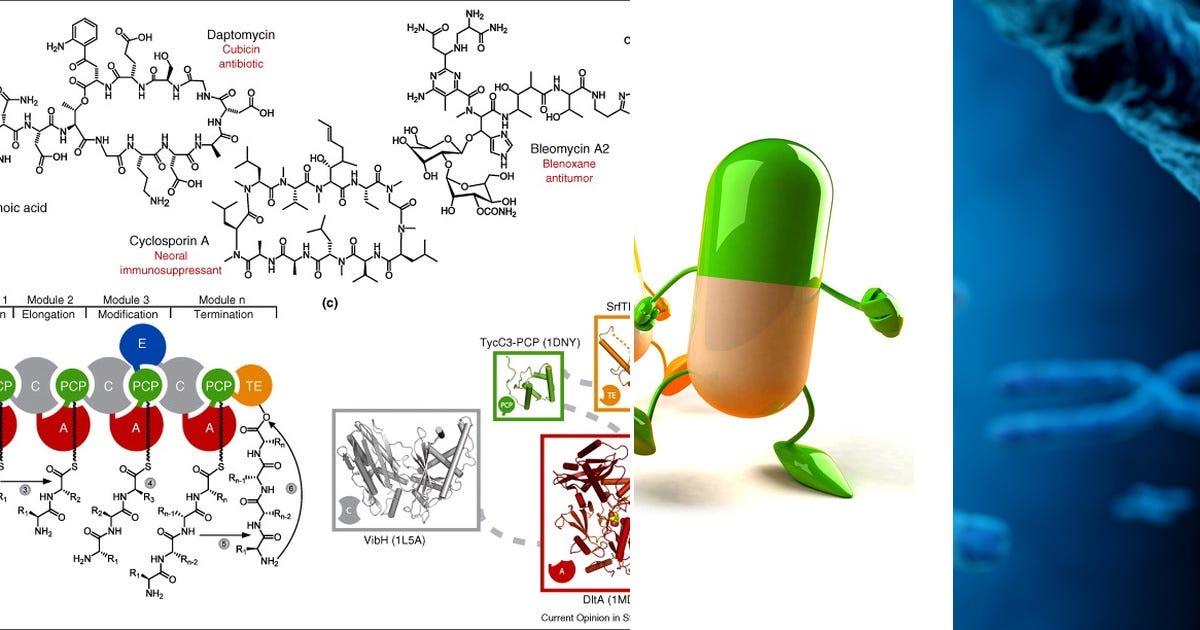 List: Computational Biochemistry | Curated by Thanos Sofronis | Medium
