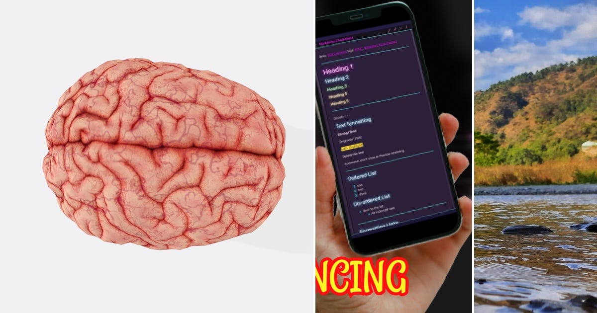 List: PKM | Curated by Paul Lewis | Medium