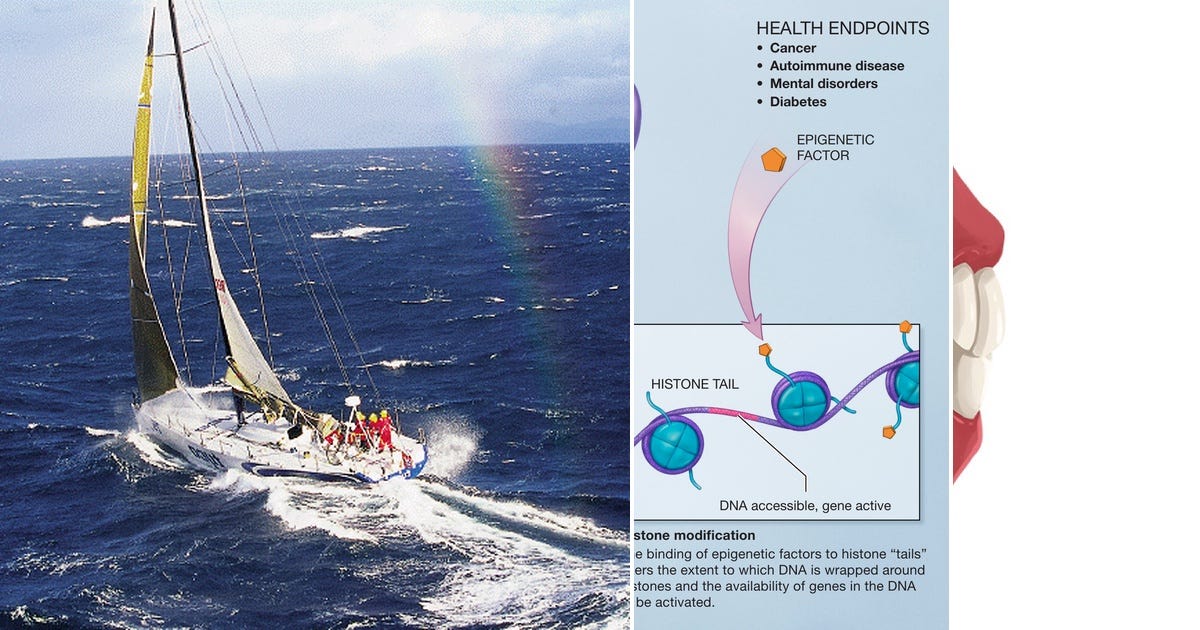 List: Facts & Info | Curated by Cherifa Bochra Soltani | Medium