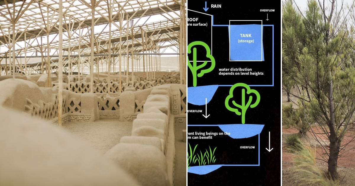 List: Ecology & Sustainability | Curated by SPACE GARDEN | Medium