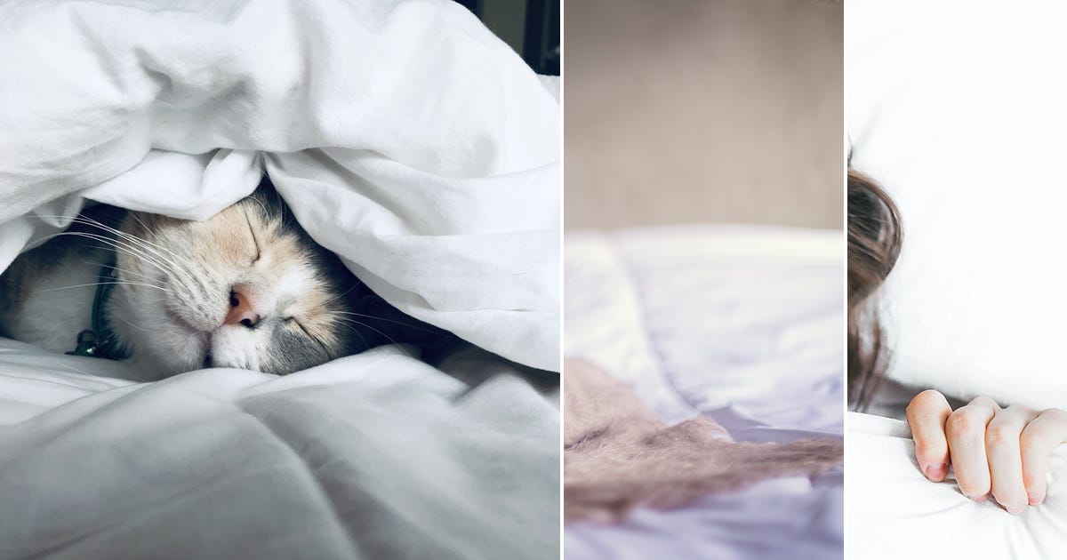 List: Revenge procrastination | Curated by Jami Gibson | Medium