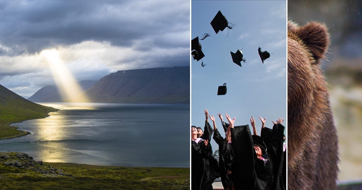 List: Great Stories | Curated by Nicholas Breen | Medium