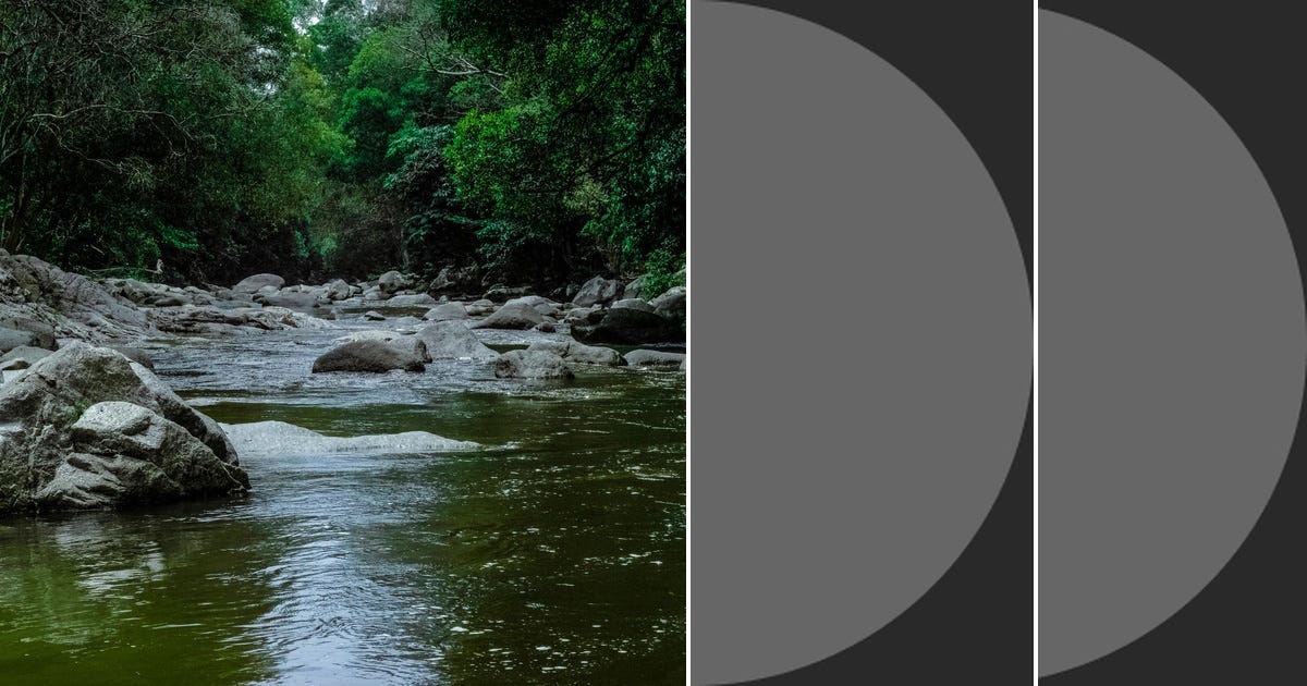 List: Written by Me | Curated by Ellie Fuller | Medium