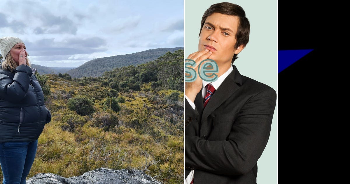 List: Vector Database | Curated by Donato Grassi | Medium