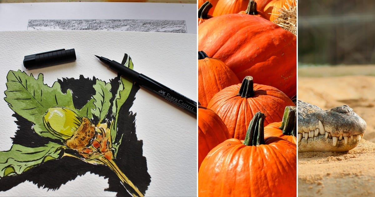 List: Jerry komai | Curated by Jerry Parakis | Medium