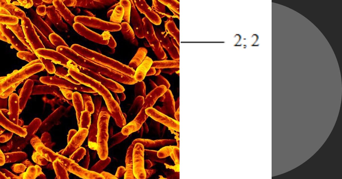 List: MARL | Curated by Morgan Hough | Medium