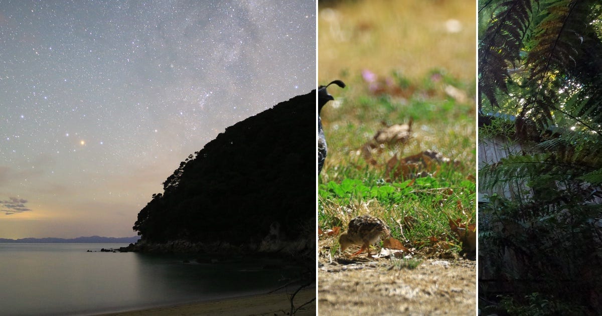 List: Boosted Stories | Curated by Anne Bonfert | Medium