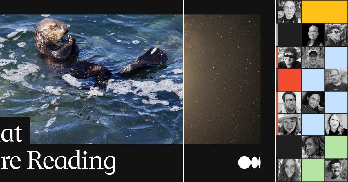 List: Reading list | Curated by Rayanetmahdi | Medium