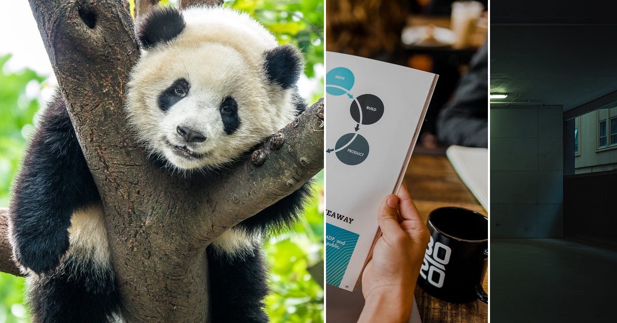 List: python - daily project | Curated by Andrew Morrissey | Medium