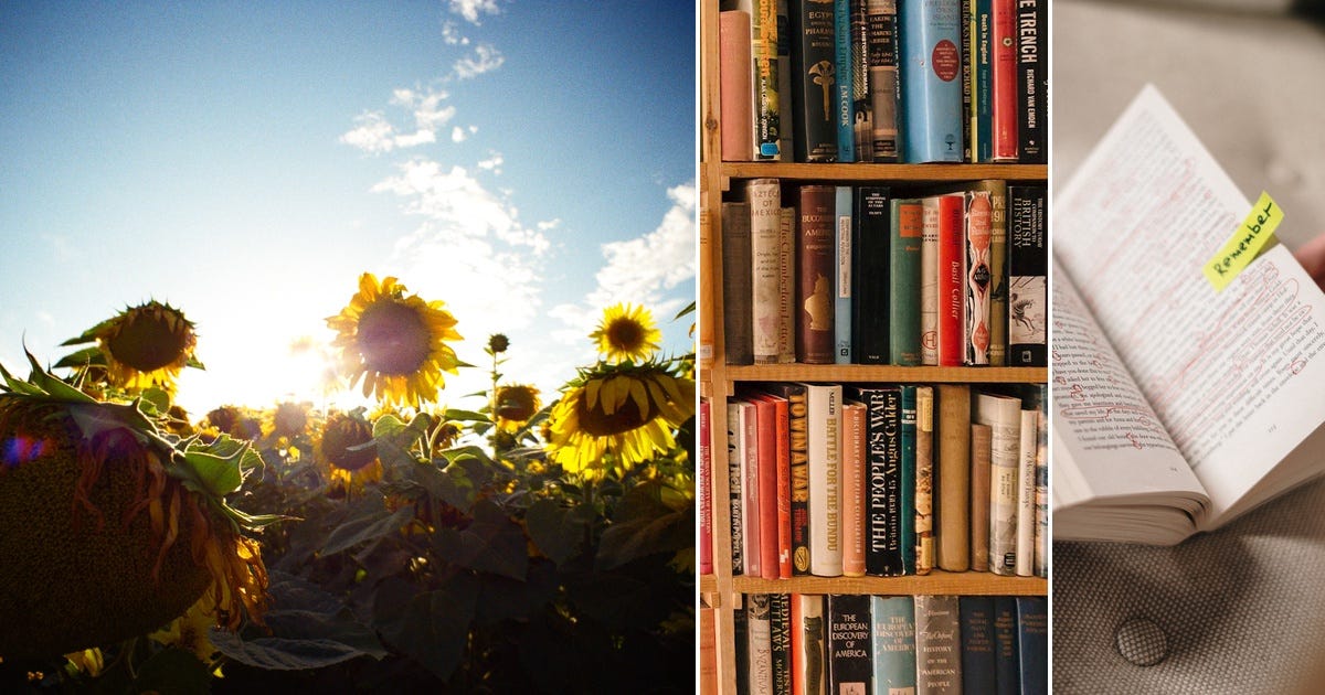 List: Reading | Curated by Happyucdavis | Medium