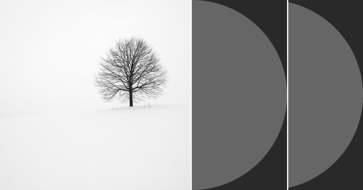 List: Tree models | Curated by Hommy Chon | Medium