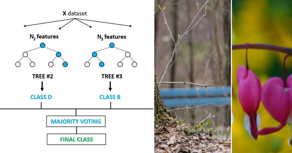 List: Random Forest | Curated by Konstantin Bögel | Medium